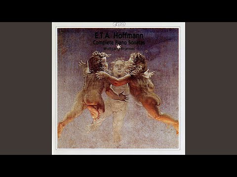 Keyboard Sonata in C-Sharp Minor, AV 40: I. Largo - Allegro moderato