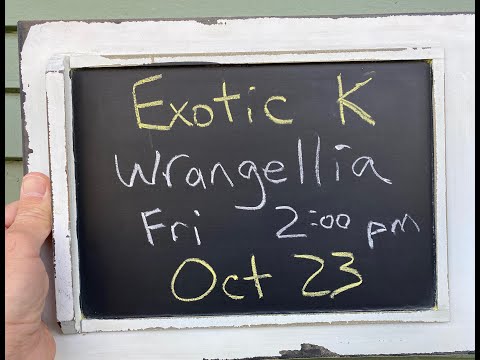 Exotic K - Wrangellia