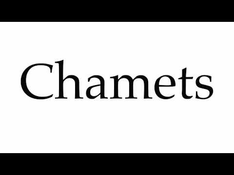How to Pronounce Chamets