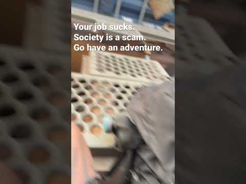 Trainhopping // Sneakreaper In The Wild