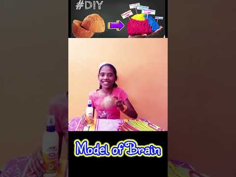 Science Day Project - Brain Model #scienceproject #schoolproject #kids #shorts #shorta