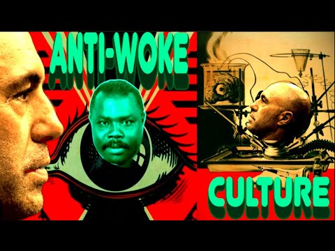 Joe Rogan MISLED People About The Origins of the word WOKE