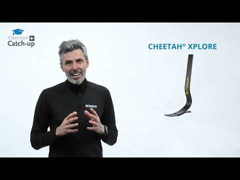 RUNNING CARBON BLADE - OSSUR CHEETAH XPLORE Service Provider from Patna