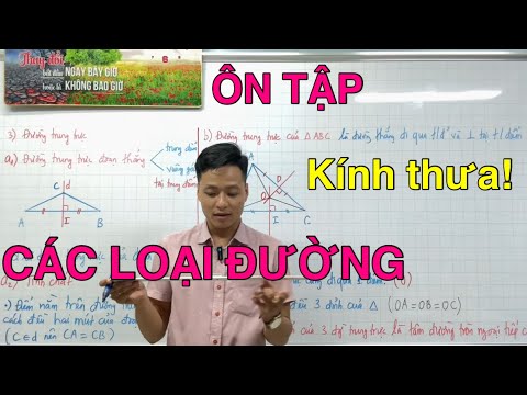 Đường trung tuyến, đường phân giác, đường trung trực, đường cao trong tam giác
