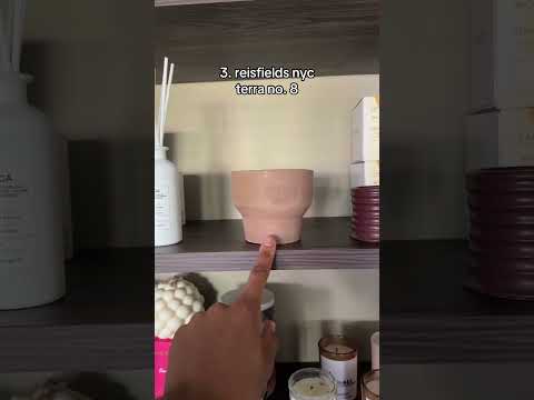 The best fall candles so far for 2024 for me featuring Bath & Body Works, Harlem Candle Company,