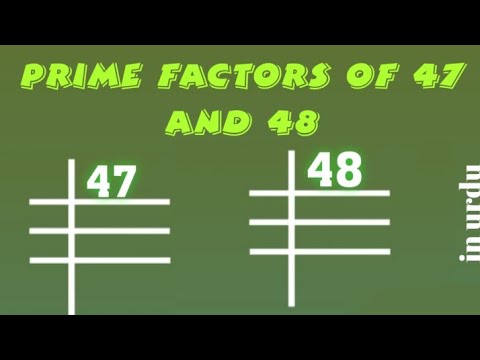 Prime Factors of 47 and 48 - Prime Factorization
