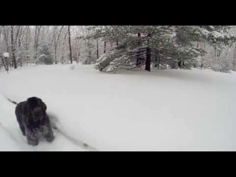 Kismet vs. Drone