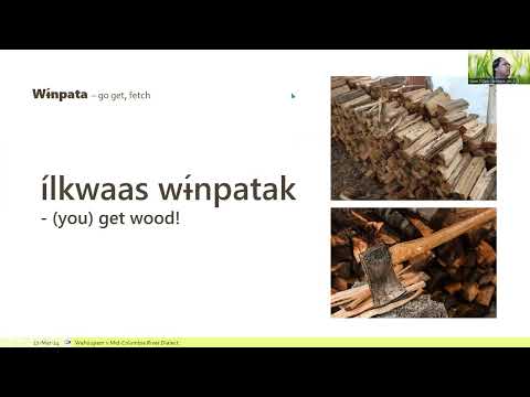 Yakama Ichishkiin Word of the Day 03/12/2024