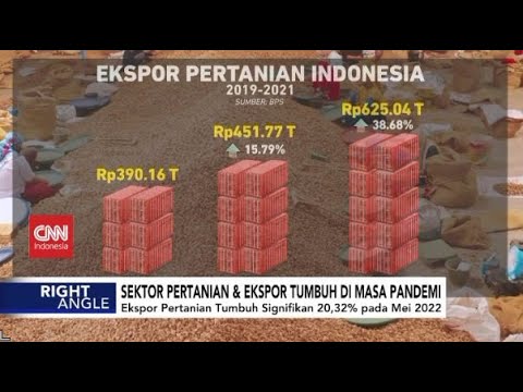 Sektor Pertanian & Ekspor Tumbuh di Masa Pandemi - Right Angle Kementan