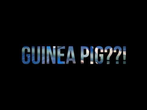 What should I name my girl guinea pig??!