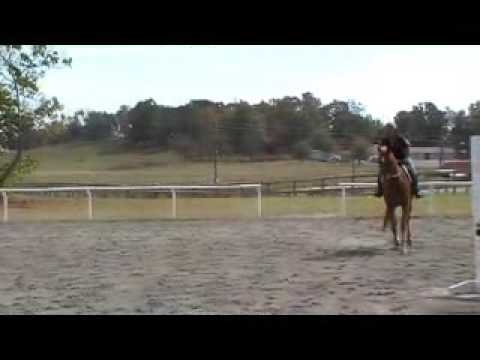 Emerson schooling at home