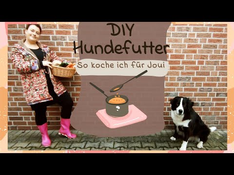 "DIY" Hundefutter selber kochen !
