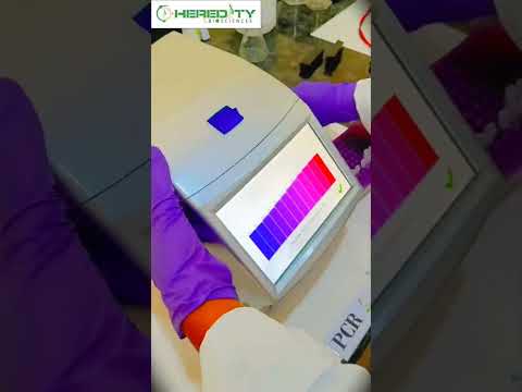 Polymerase chain reaction (PCR) Amplification #genomics