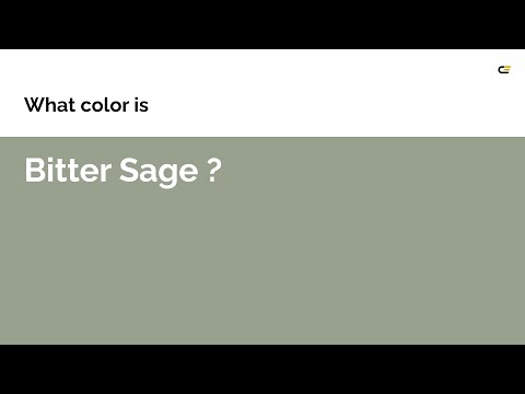 Bitter Sage color #97a18d hex color - Green color - Warm color 97a18d