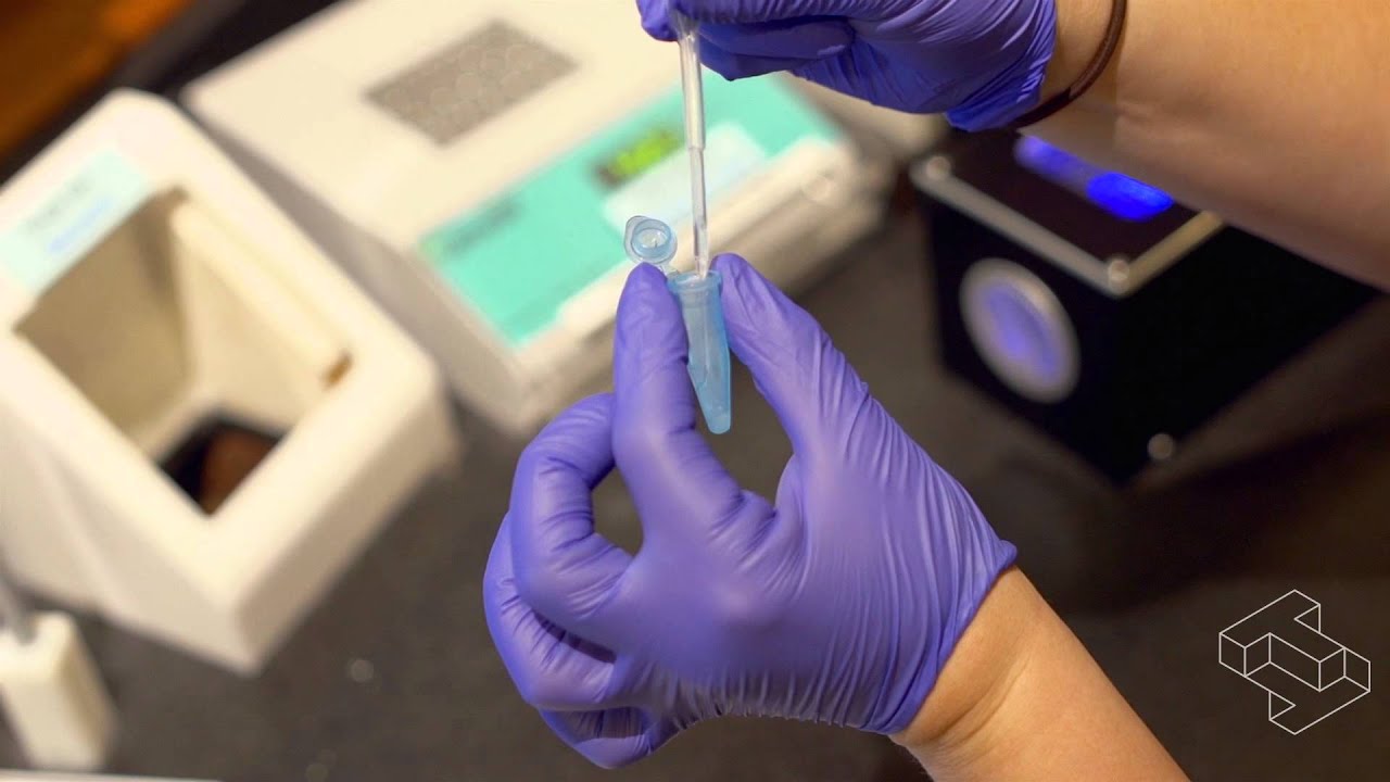 The Tech participates in iGem