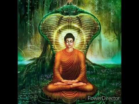 Can I break the precepts accidentally - Buddhism in English #buddhism #lordbuddhasteachings