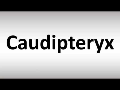 How to Pronounce Caudipteryx