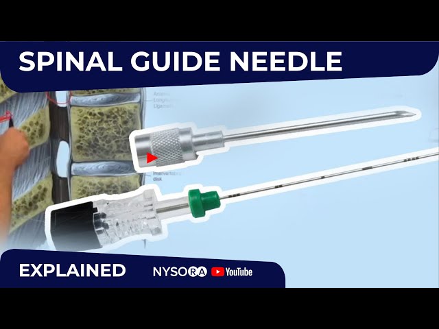 Surgical Needles - B Braun Stimuplex A Insulated Needle Manufacturer ...
