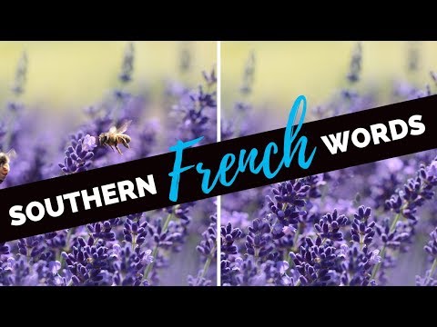 Southern French words 🇫🇷 to fit right in
