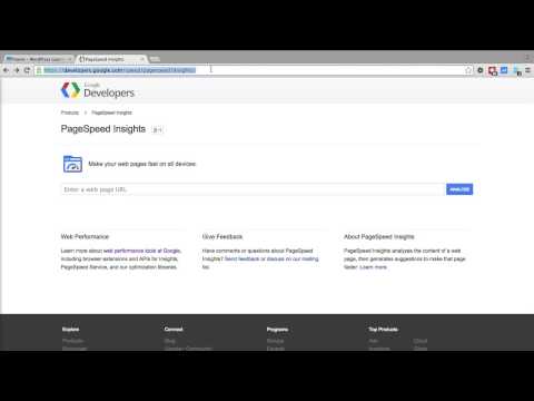 Pagespeed Insights by Google - Find Out Why Your Website Is Slow - Ranking Factor | WP Learning Lab