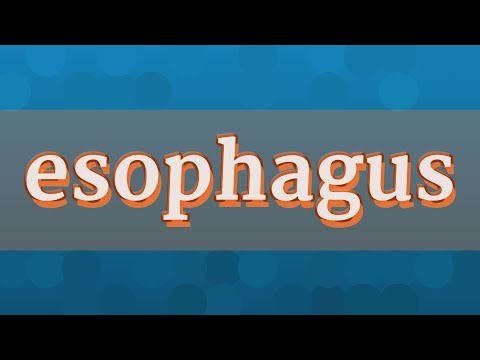 ESOPHAGUS pronunciation • How to pronounce ESOPHAGUS