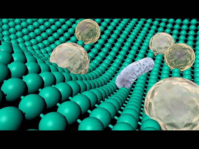ANTI BACTERIAL FABRIC - Anti Skid Fabric Manufacturer from Valsad