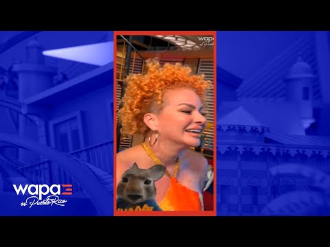 Angelique Burgos "La Burbu": 5 cosas que nadie sabe sobre ti #Shorts | WapaTV