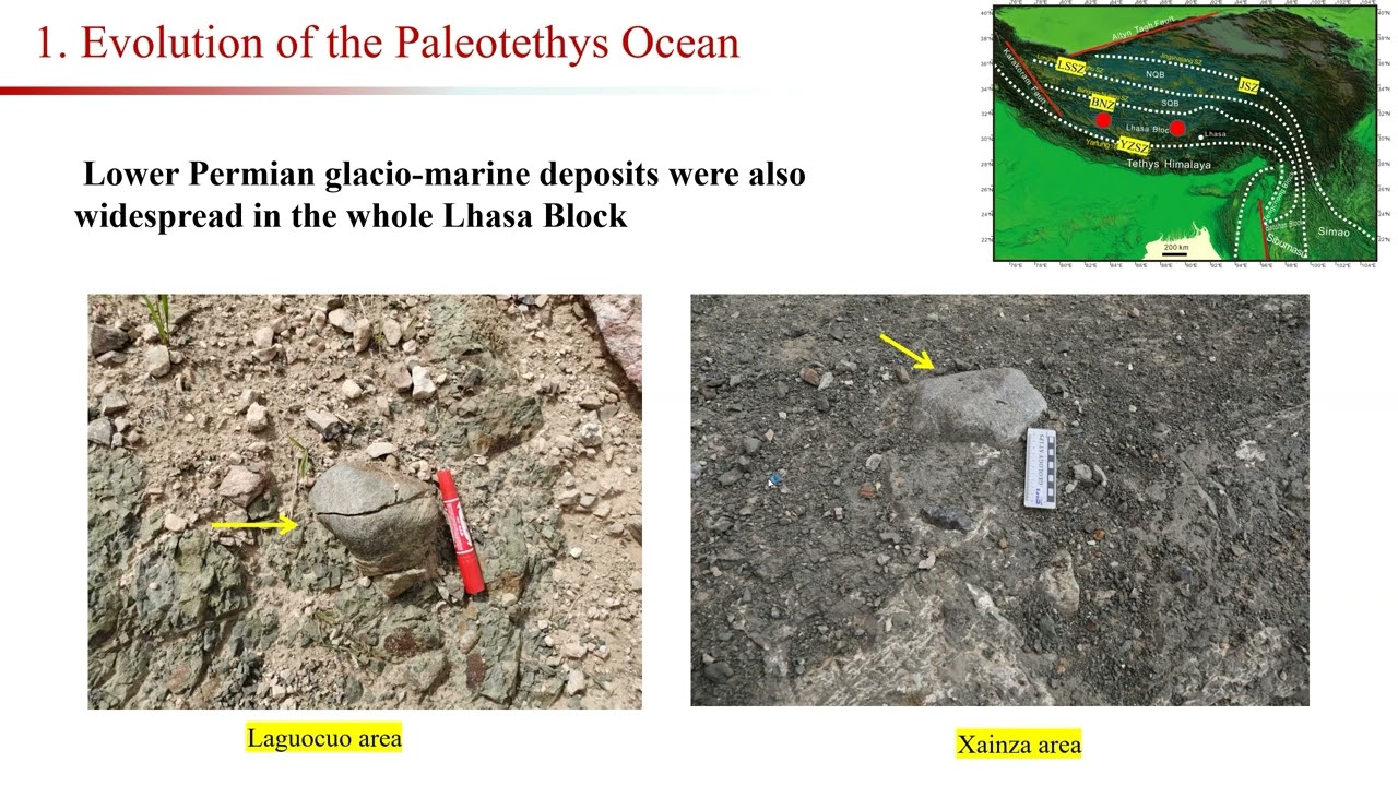 Permian faunas and stratigraphy of the Qinghai-Tibet Plateau and adjacent regions