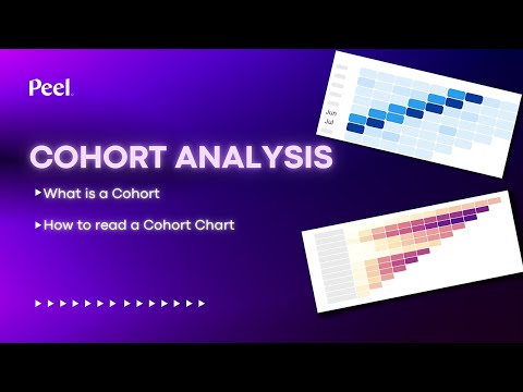 What is a Cohort? How to Read a Cohort Analysis Chart...