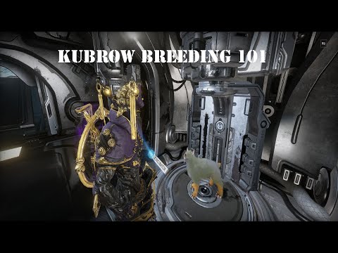 Warframe Kubrow Breeding