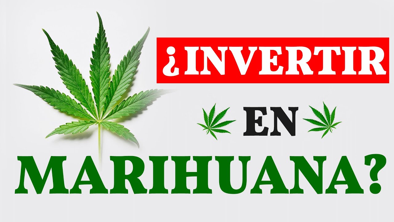 INVERTIR en Marihuana | El BOOM del Cannabis | OPORTUNIDAD @DanyPerezTrader