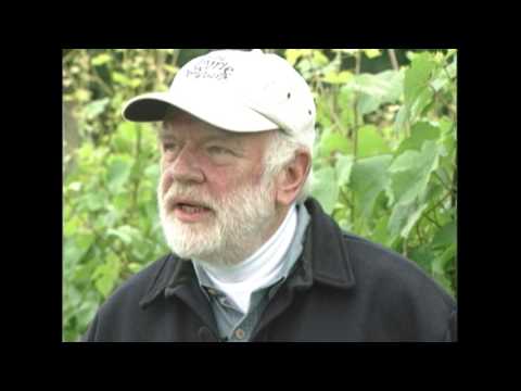 DAVID LETT – Oregon Wine History Archive