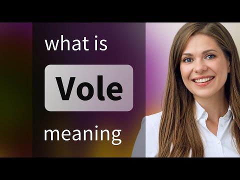 Vole — meaning of VOLE