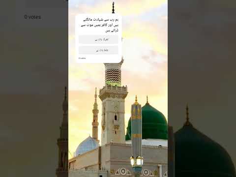 Qalbi Fil Madinah