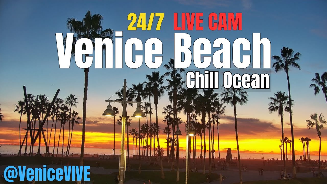 Venice Beach LIVE CAM 24/7 | Sunset🌅 & Surf Vibes 🌊 | Boardwalk, Plaza & Ocean View 4K