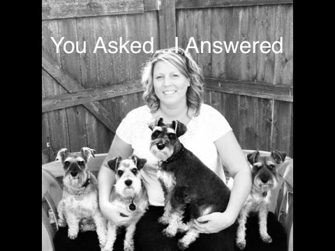You Asked....I Answered Part One / SchnauzerMom