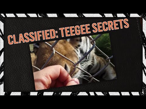 Fancycast Trailer | BigCatDerek Patreon Exclusives!