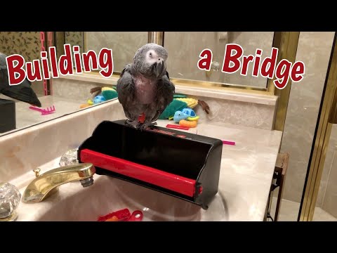 Einstein built a bridge!