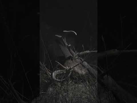 Episode 1 of The Buck Truck, featuring @TheElementWild is live now on our channel! #fueledbynature
