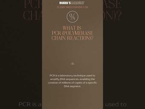 What is PCR Polymerase Chain Reaction @Diarasacademy
