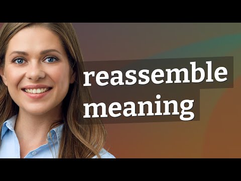 Reassemble | meaning of Reassemble