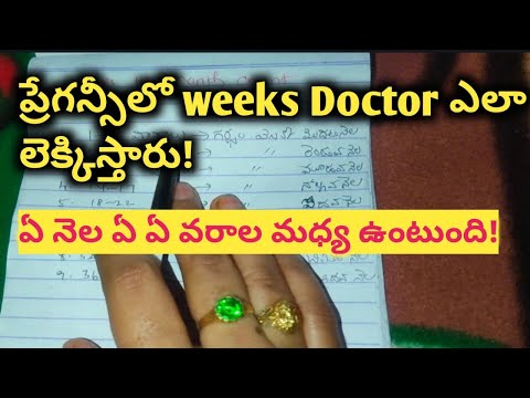 pregnancy weeks to month count in telugu/pregnancy care