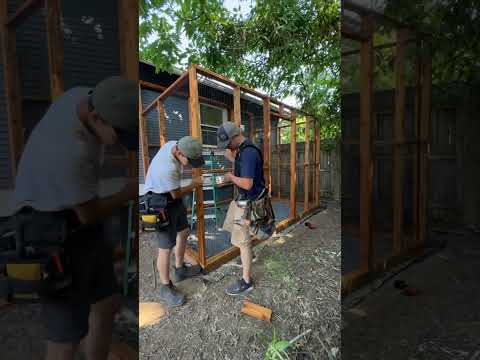 Building a Catio 🐈⬛🖤 #catio