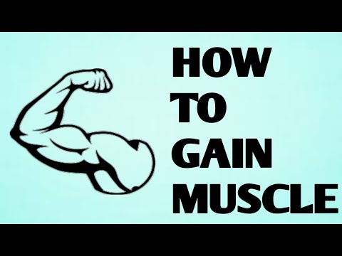 Discovering How to Grow Muscle - Knowledge Addiction
