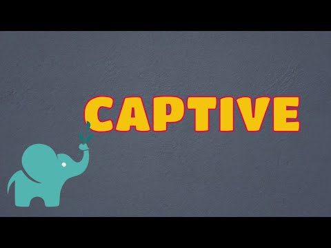 What Does CAPTIVE Means || Meanings And Definitions With Example in ENGLISH