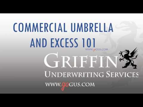 Comm'l Umbrella & Excess 101