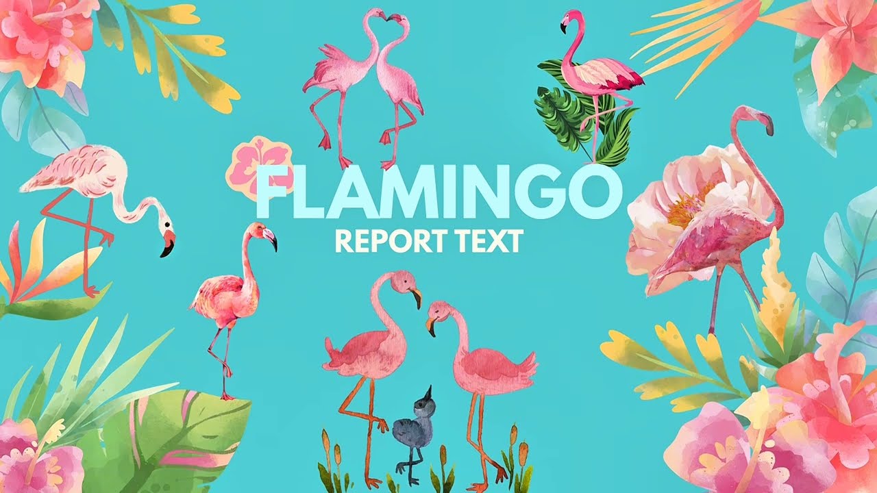 Report Text About Flamingo 