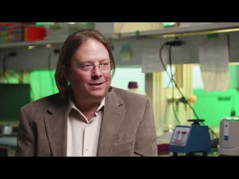 Decoding Coronaviruses