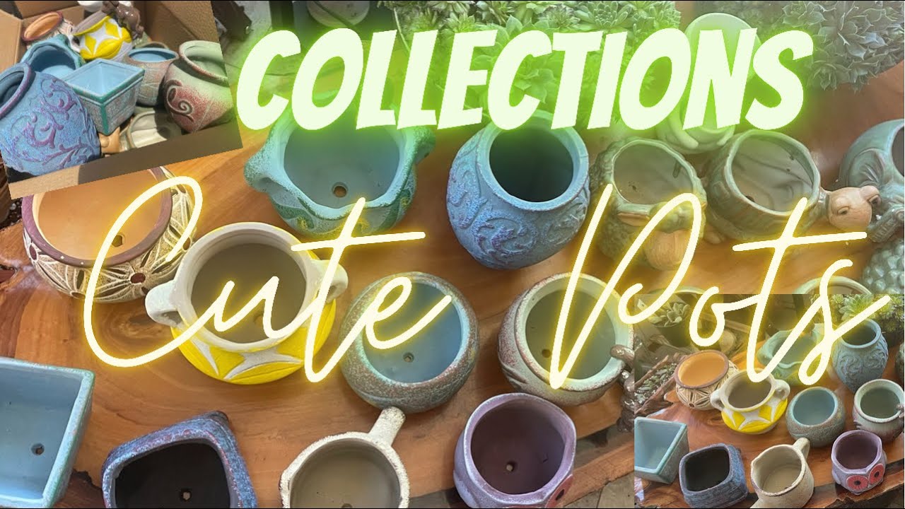 Amazon Succulent planter pot haul | Home Decor| Cute Pots | Planter w/ Drainage | Dara’s Adventures