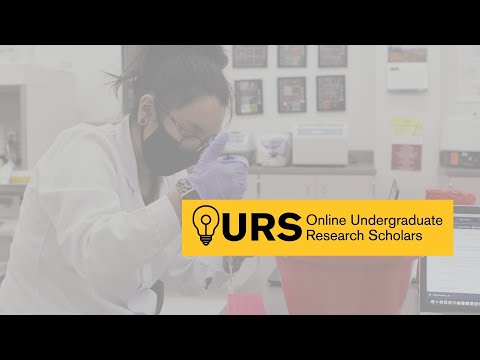 ASU's OURS program: Hands-on research experience for online students